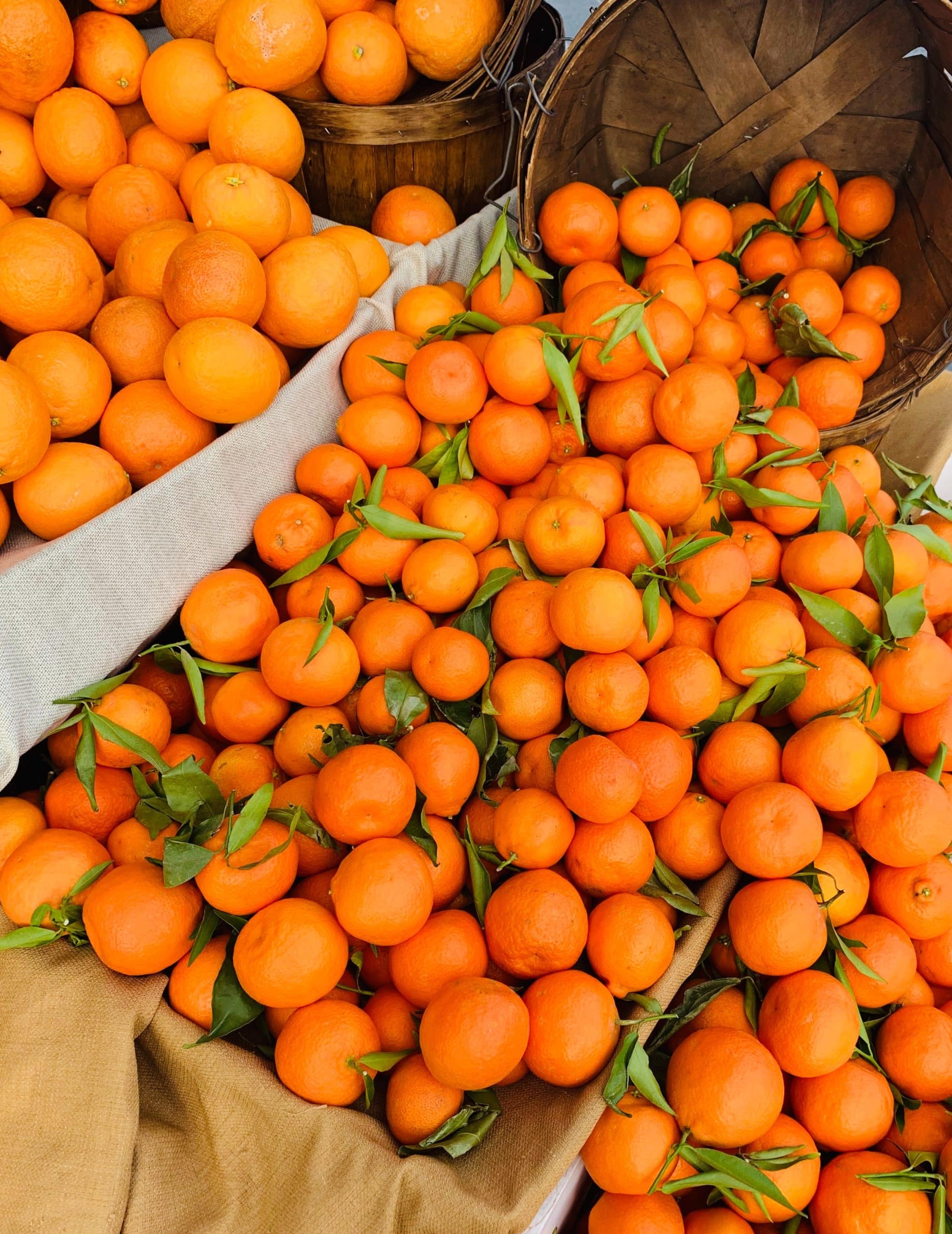 Orange – Saudi Grain